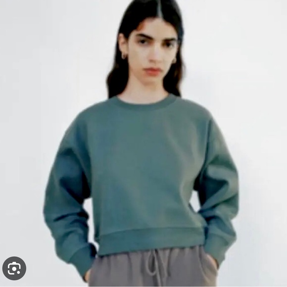Zara | Tops | Zara Cropped Crew Neck | Poshmark